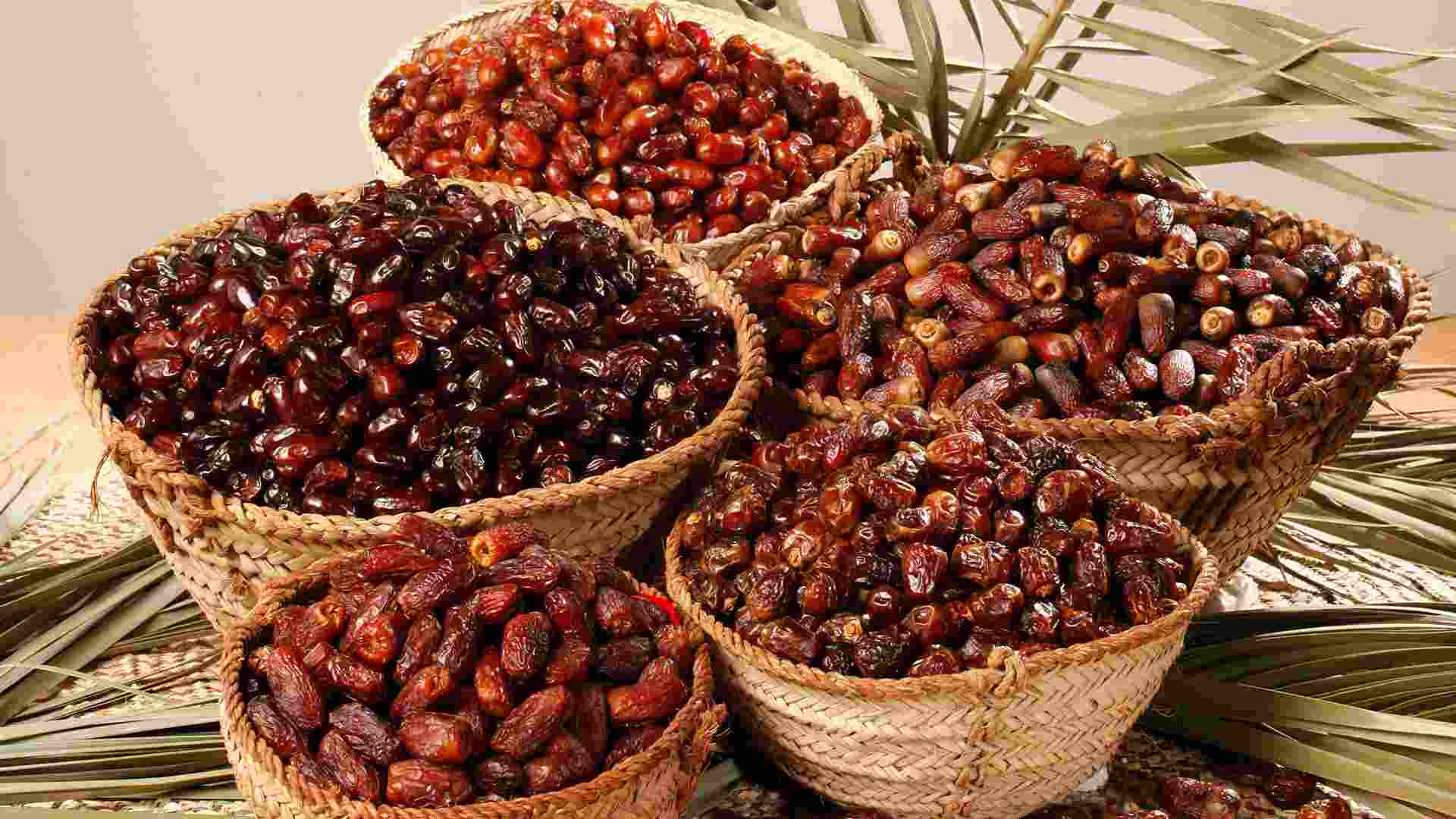 Gourmet Dates for a Premium Treat | Zadina Dates